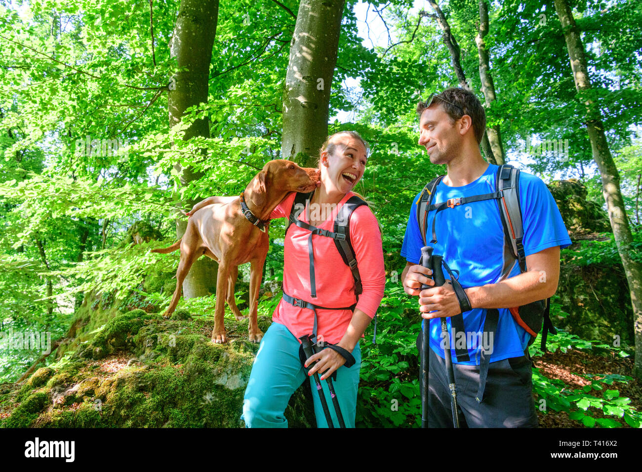 Adventure hike with dog in the nature park Stock Photo - Alamy