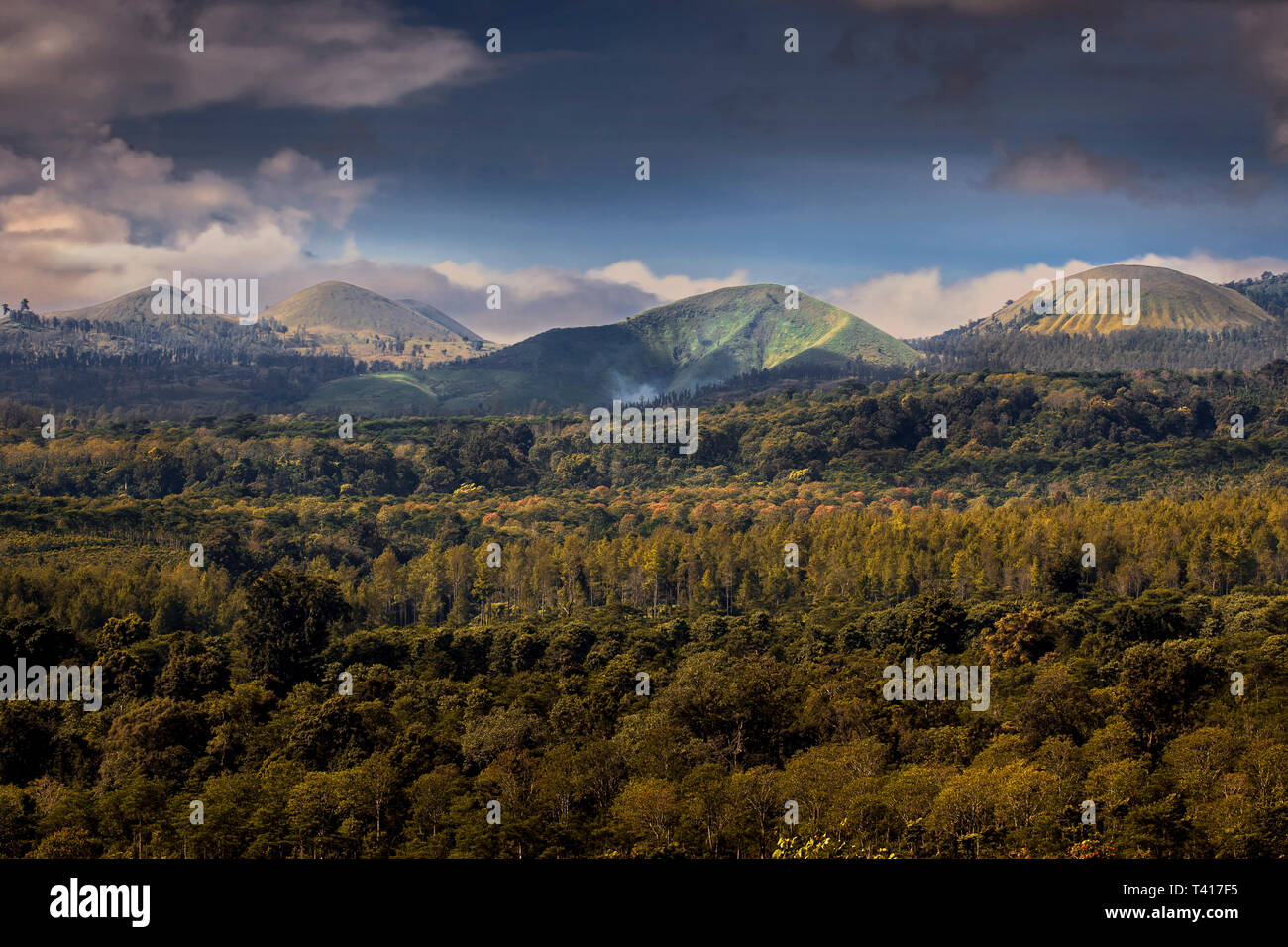 Tropical mountain landscape, Indonesia Stock Photo - Alamy