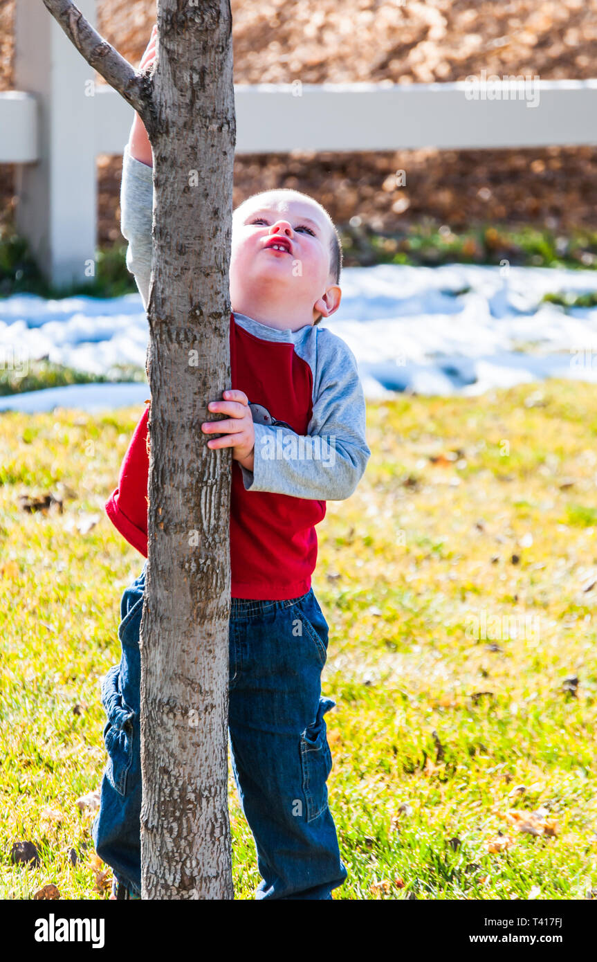 Little four year old boy looking up a small tree wishing he was big ...