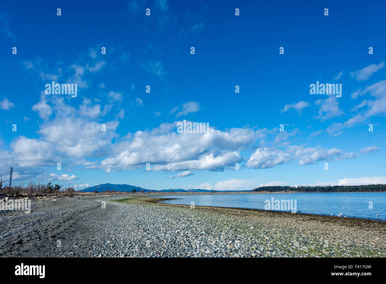 Rural beach landscape, Vancouver Island, British Columbia, Canada Stock ...