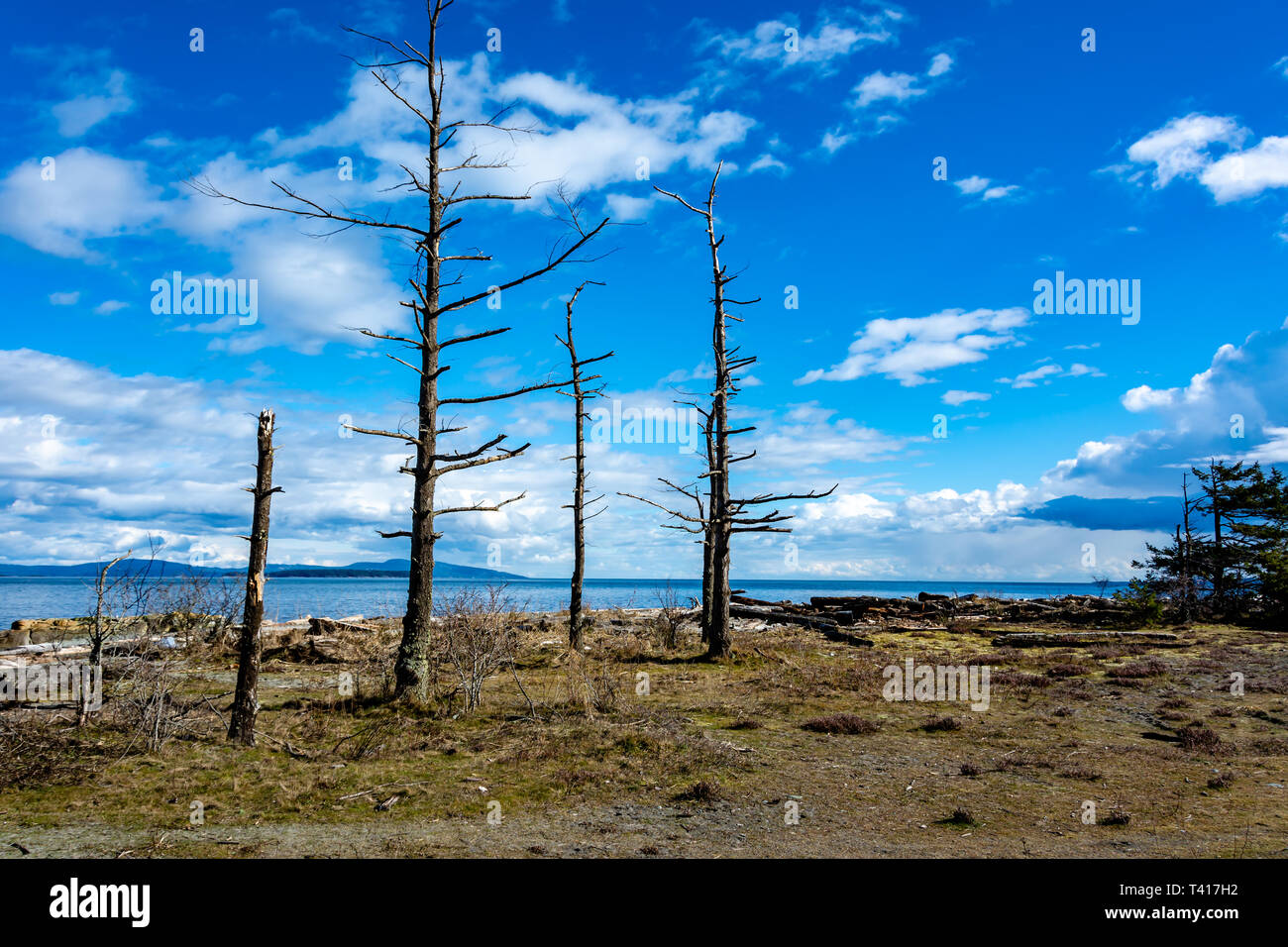 Rural beach landscape, Vancouver Island, British Columbia, Canada Stock ...