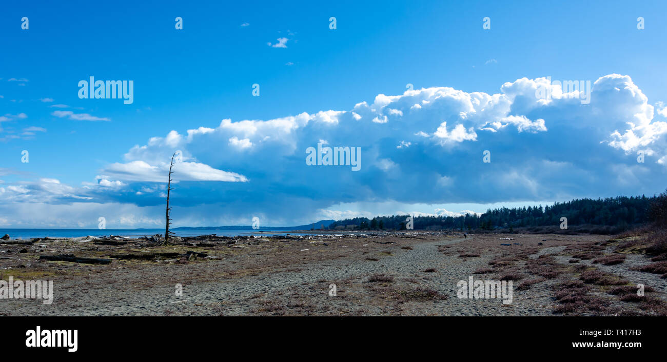 Rural beach landscape, Vancouver Island, British Columbia, Canada Stock ...