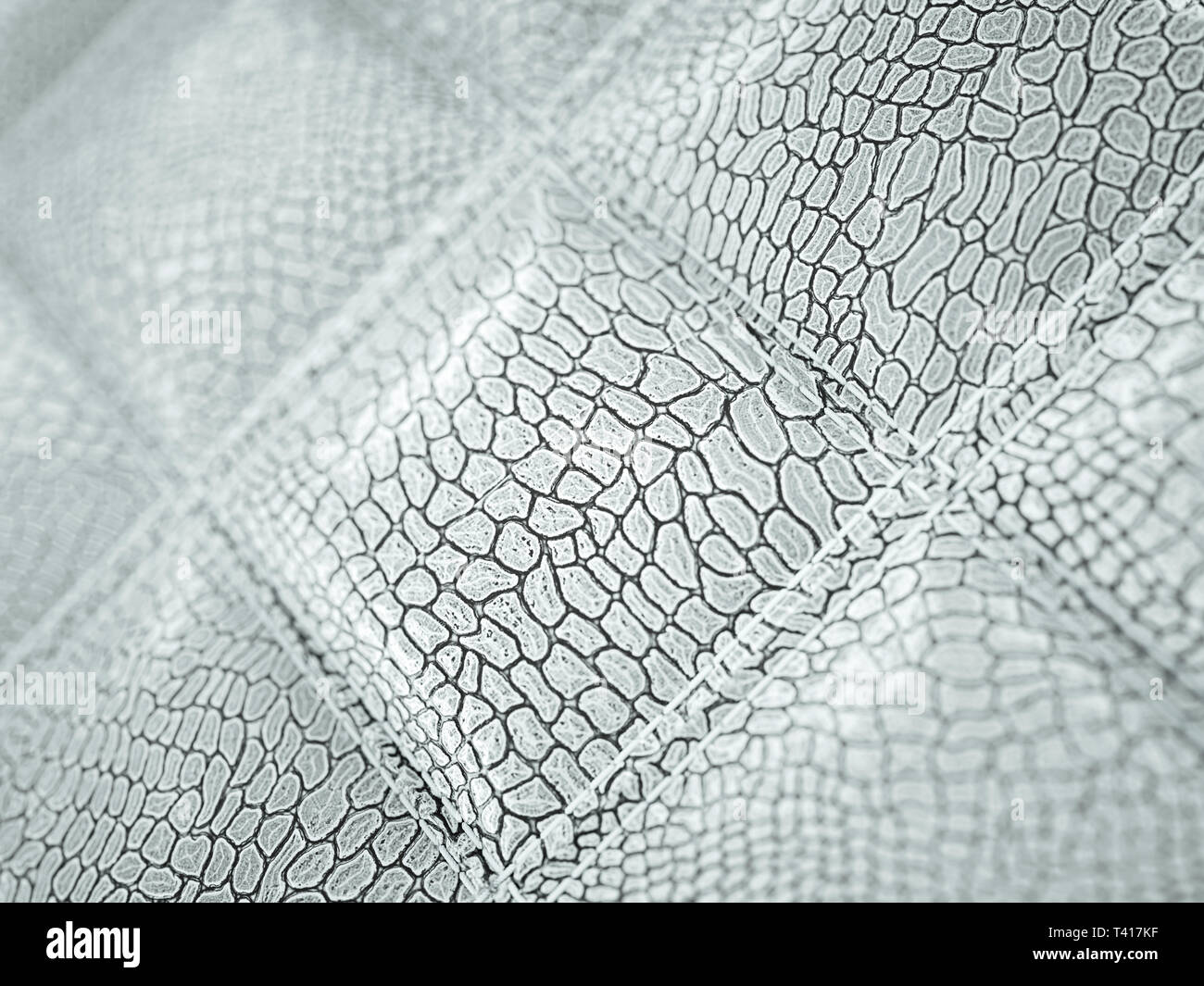 Crocodile Bump Texture