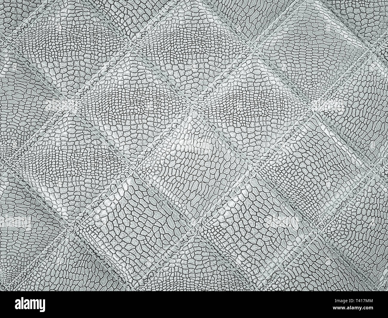 Alligator or crocodile Leather. Square stitched texture or background ...