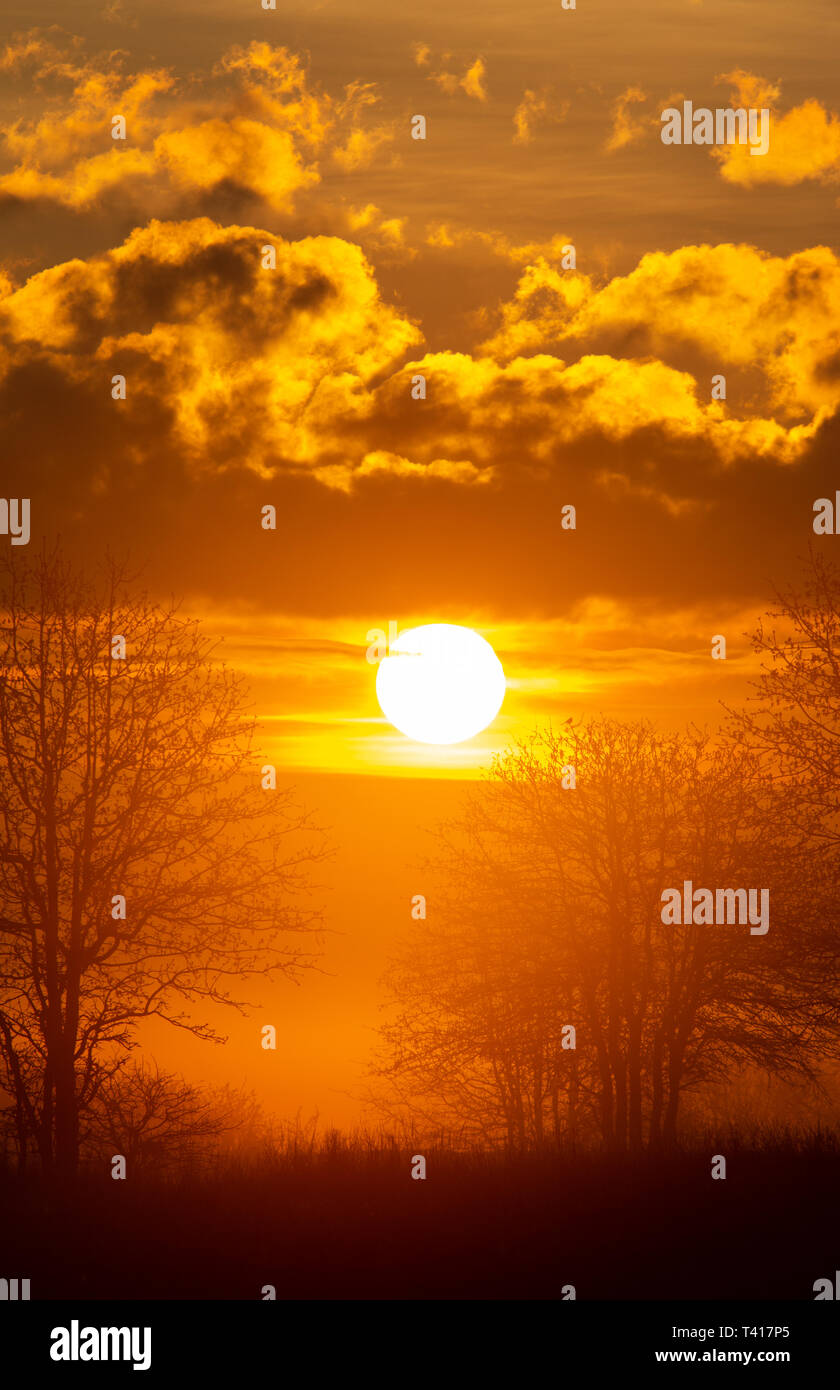 Fog trees sun cloud hi-res stock photography and images - Alamy