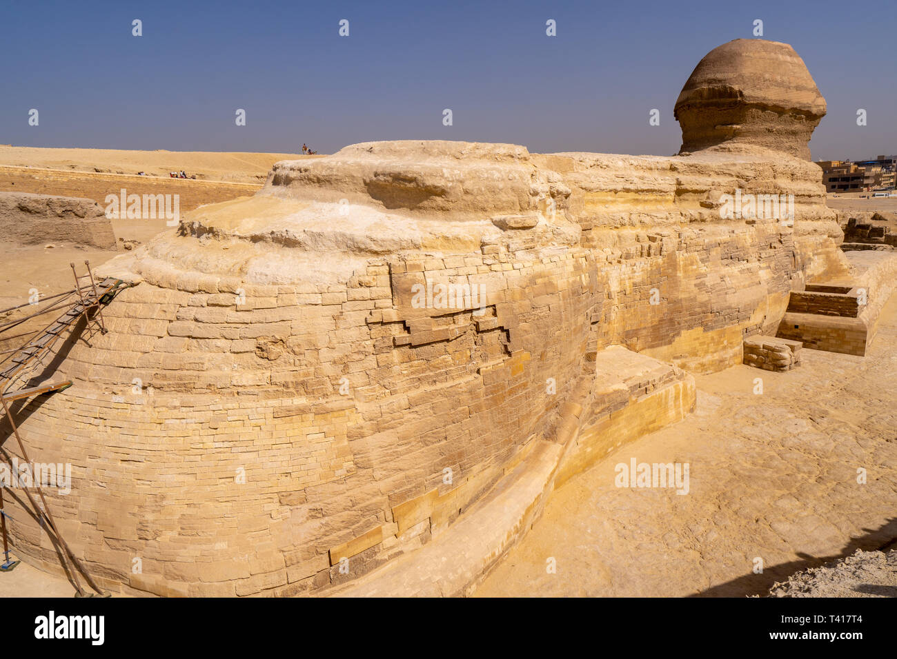 Back of sphinx egypt hi-res stock photography and images - Alamy