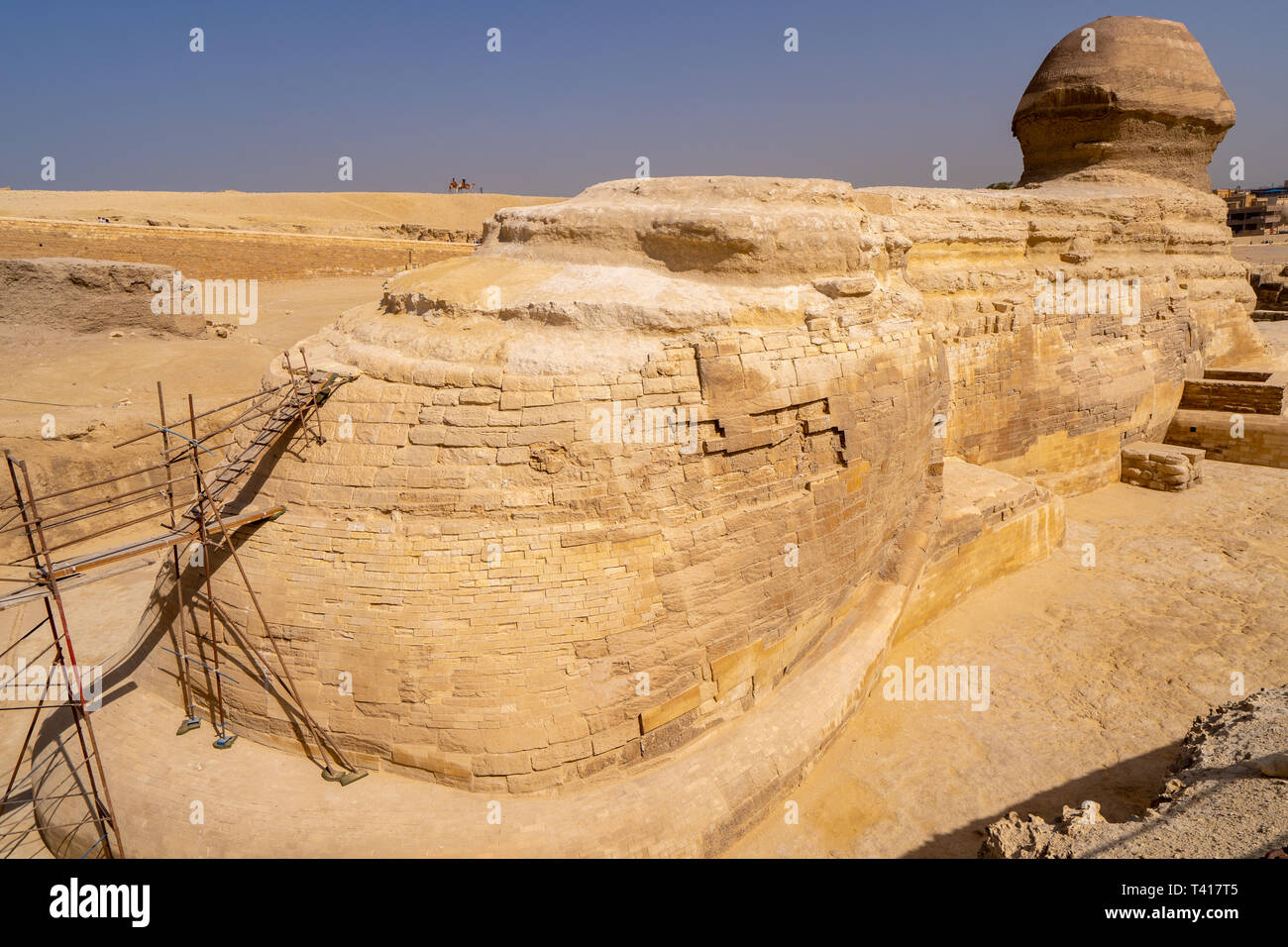 Great Sphinx of Giza from back side. Unusual view point Stock Photo - Alamy