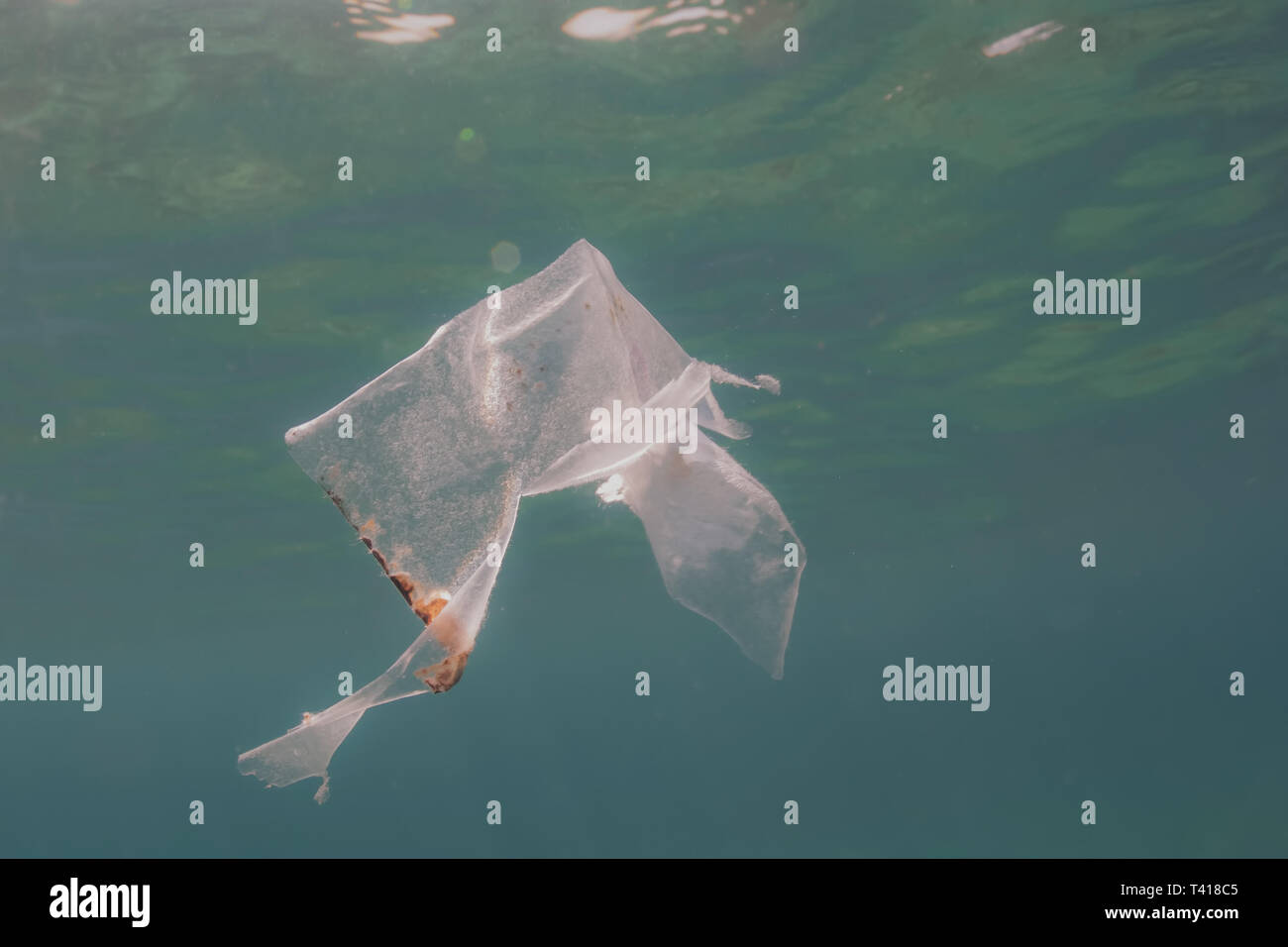 Plastic trash in sea hi-res stock photography and images - Alamy