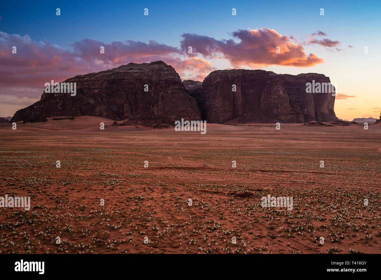 Desert landscape at sunset, Wadi Rum, Jordan Stock Photo - Alamy
