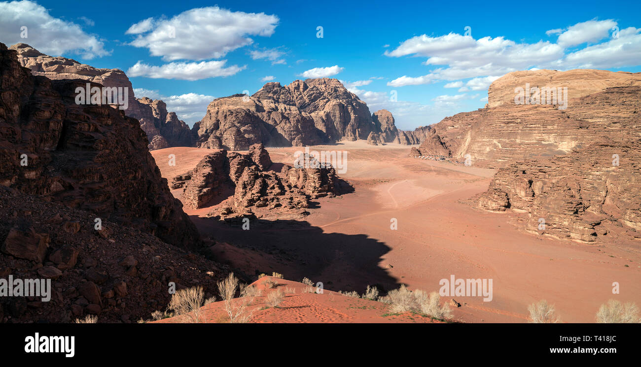 Wadi rum desert tree hi-res stock photography and images - Alamy