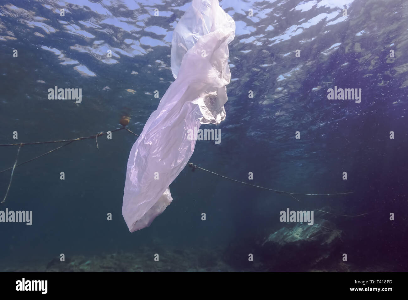 Plastic garbage floating in the ocean hi-res stock photography and ...