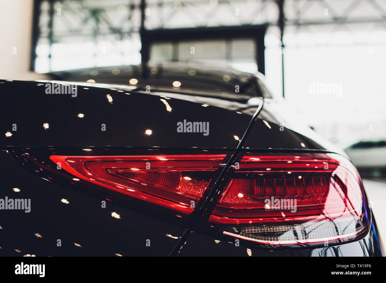 Back view of new black car. Closeup headlights of car. Black premium ...