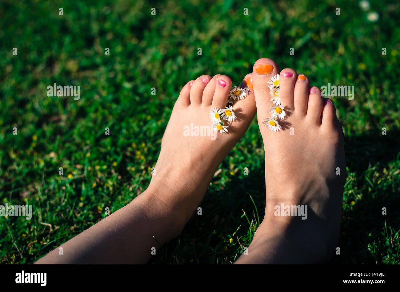 two child foot with daisy flower Stock Photo - Alamy