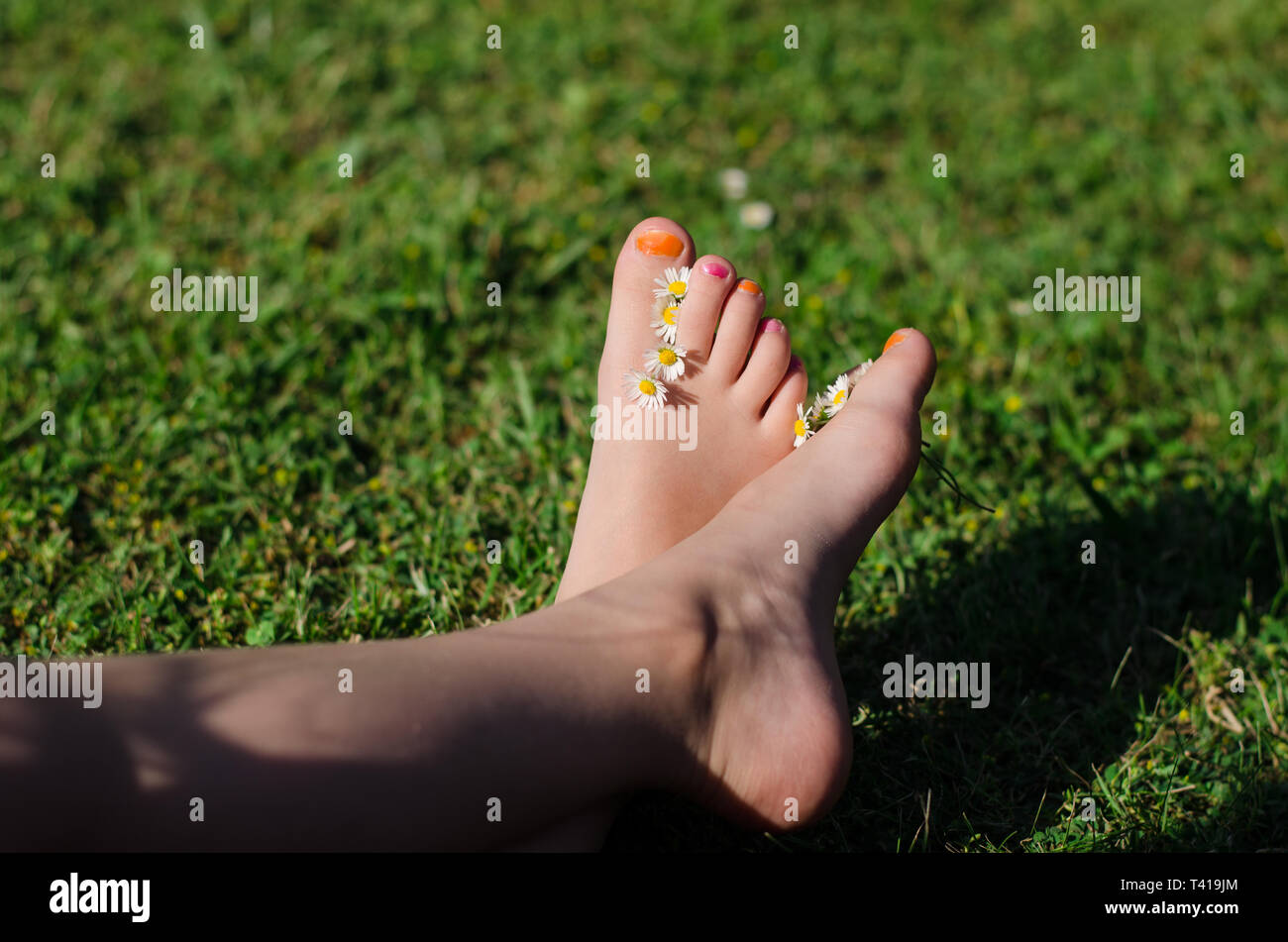 two child foot with daisy flower Stock Photo - Alamy