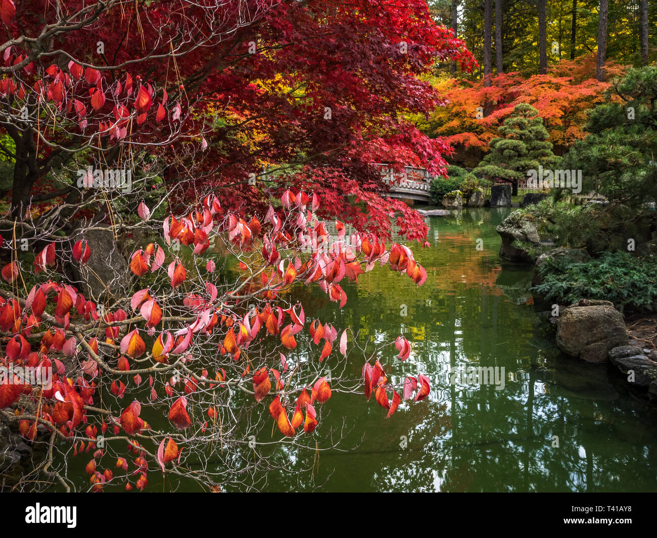 Spokane autumn hi-res stock photography and images - Alamy