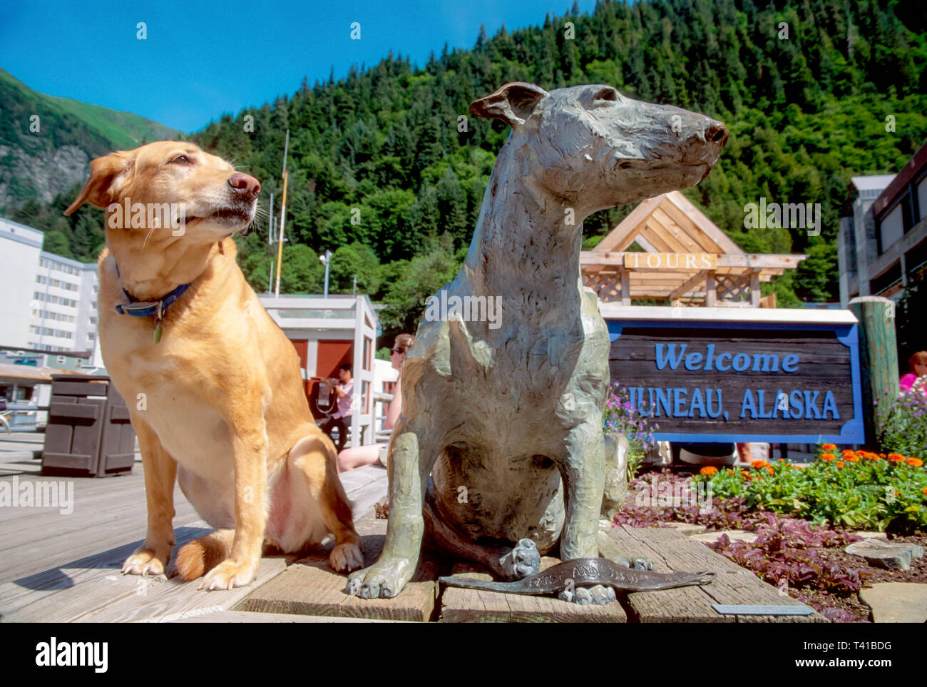Patsy Ann High Resolution Stock Photography and Images - Alamy