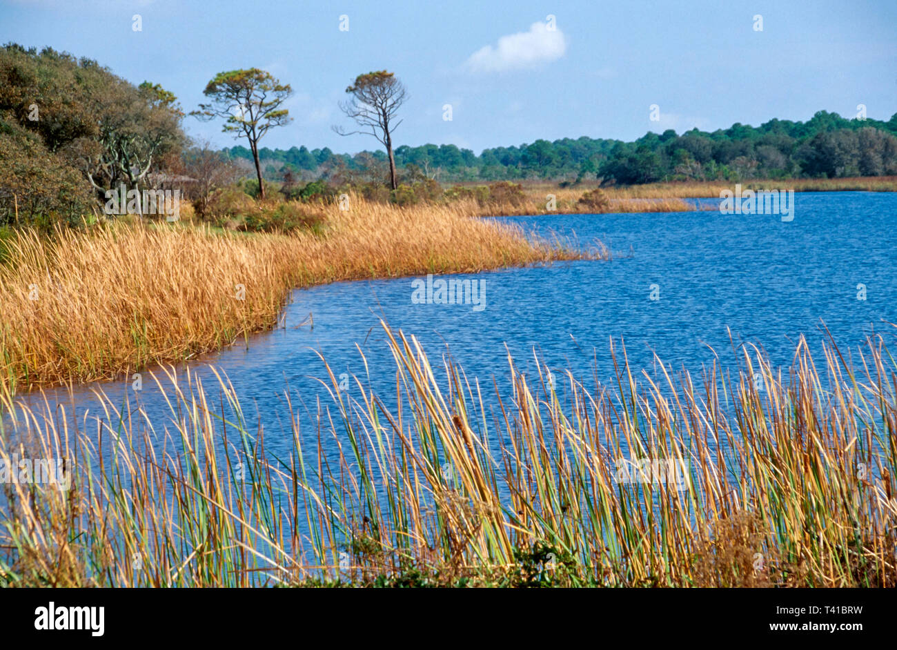 Alabama Gulf Coast Baldwin County Gulf Shores Gulf State Park,Lake ...