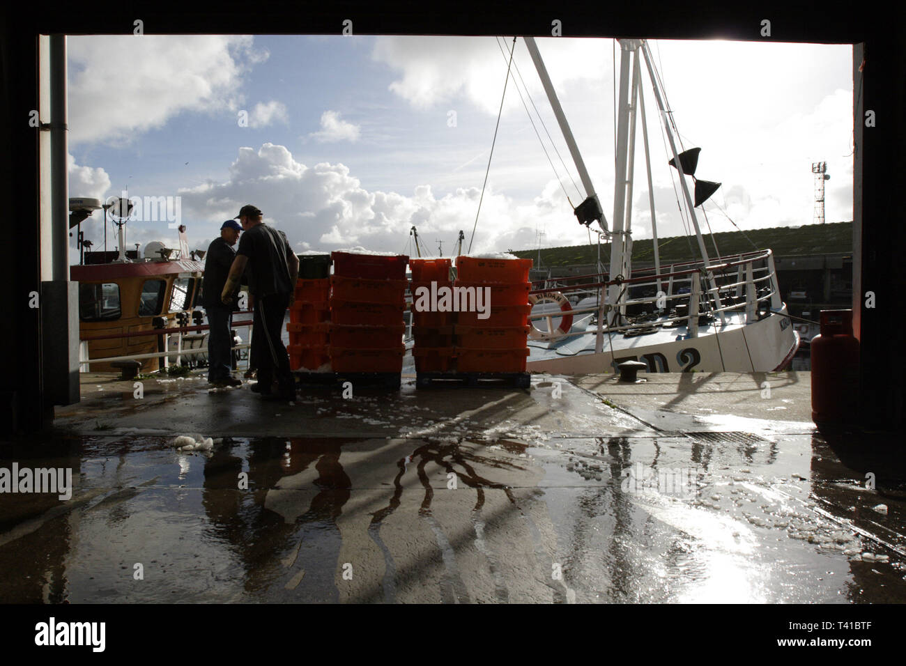 Loading Ice fishing trawler in the Irish Sea. 4-man crew work on 1 of ...