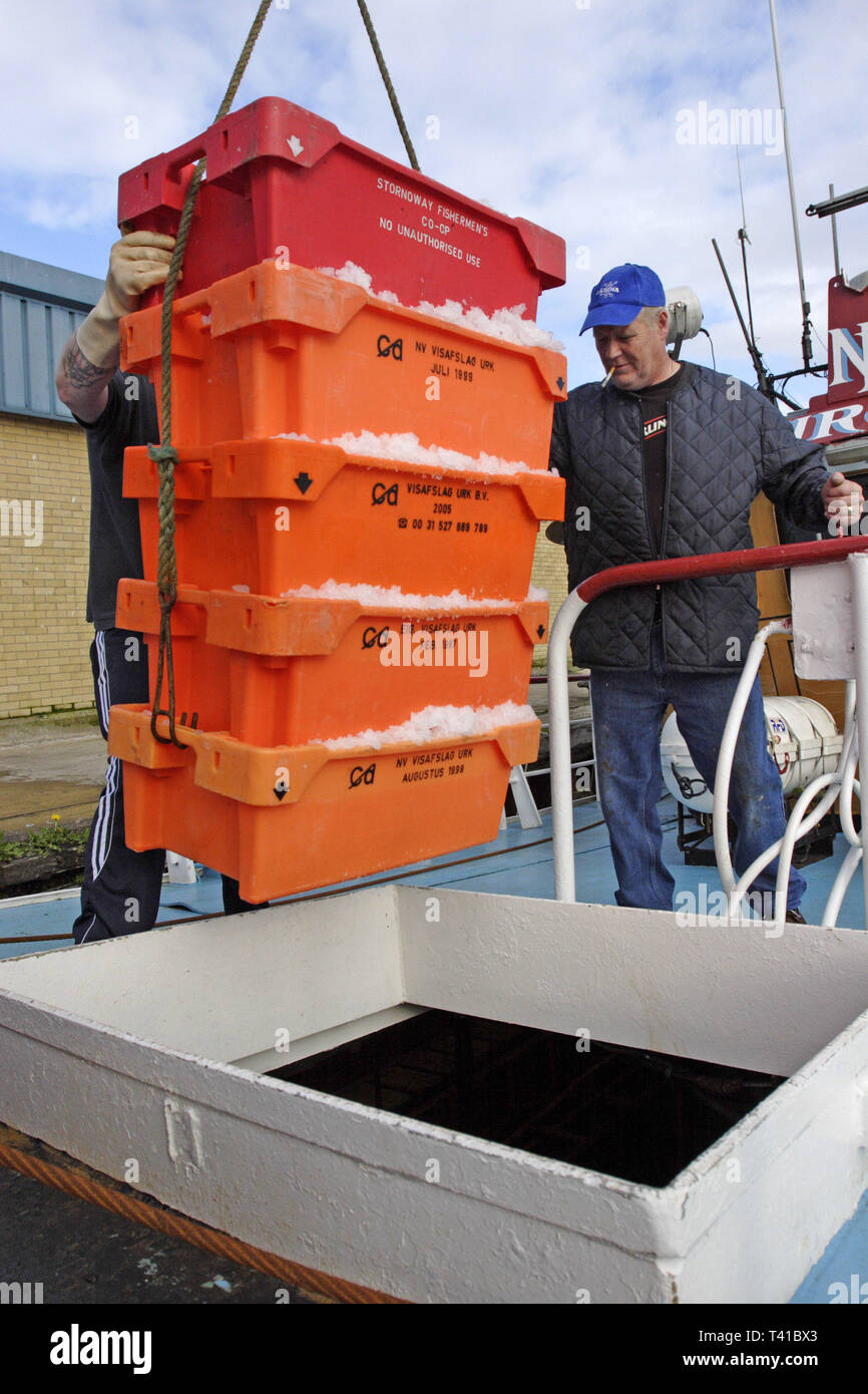 Loading Ice fishing trawler in the Irish Sea. 4-man crew work on 1 of ...