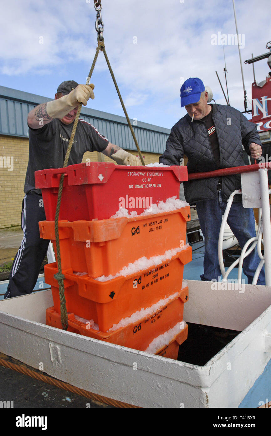 Loading Ice fishing trawler in the Irish Sea. 4-man crew work on 1 of ...