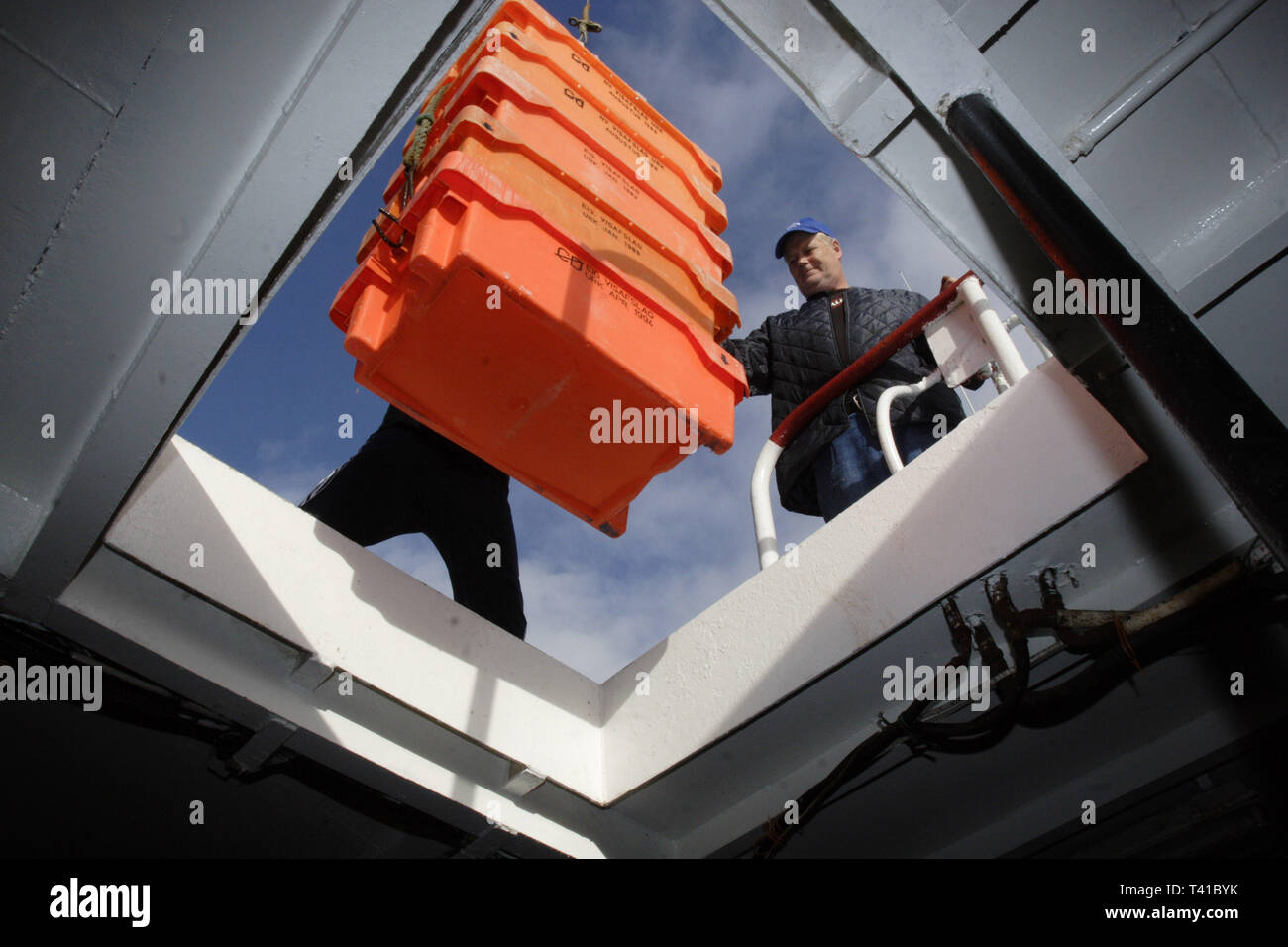Loading Ice fishing trawler in the Irish Sea. 4-man crew work on 1 of ...