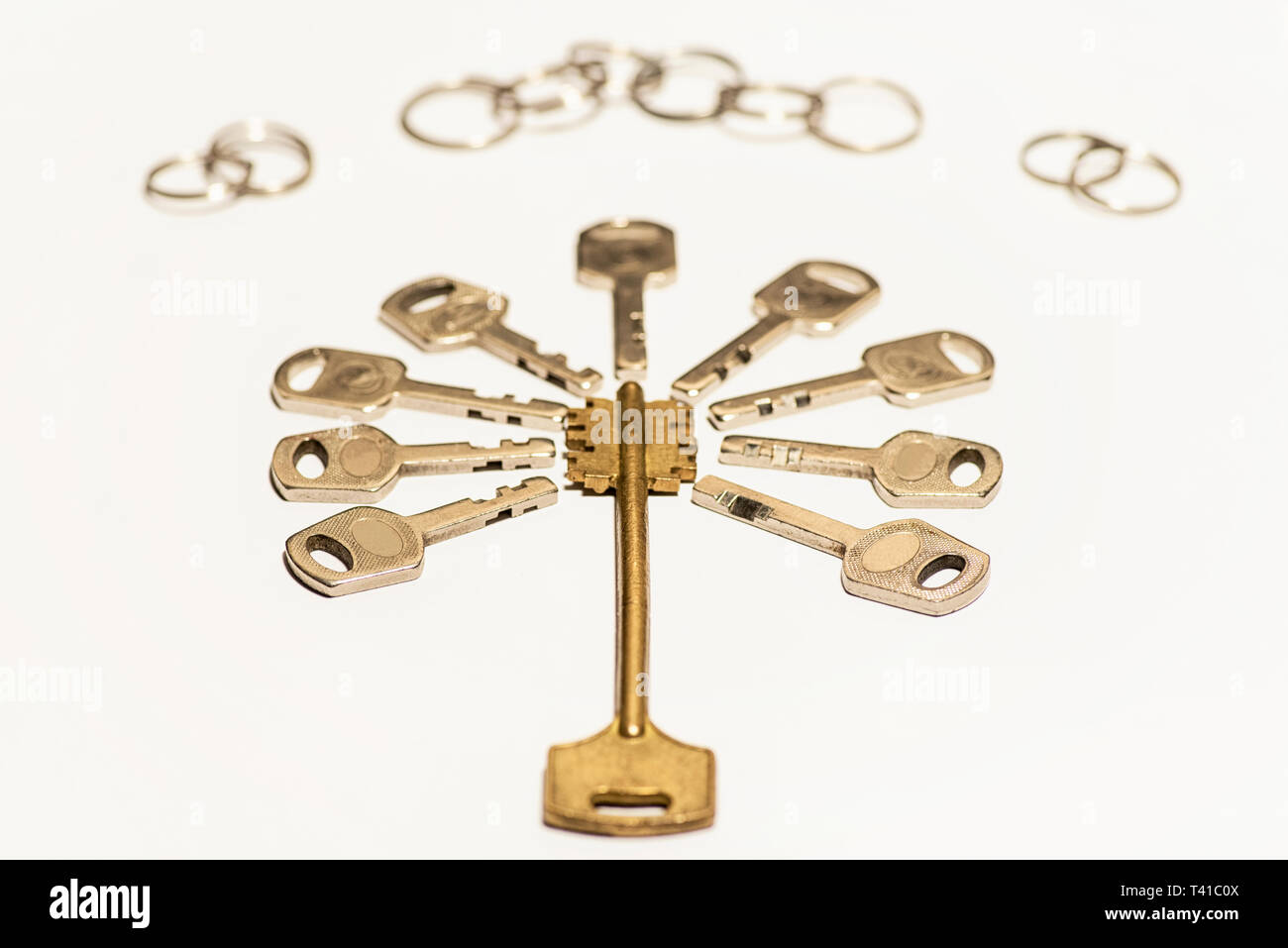Many keys of different sizes. Keys on a white background, close-up ...