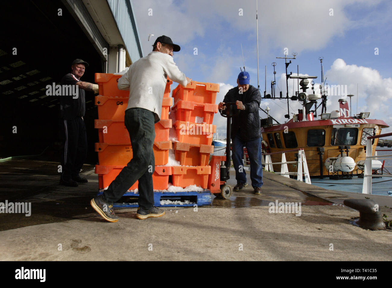 Loading Ice fishing trawler in the Irish Sea. 4-man crew work on 1 of ...