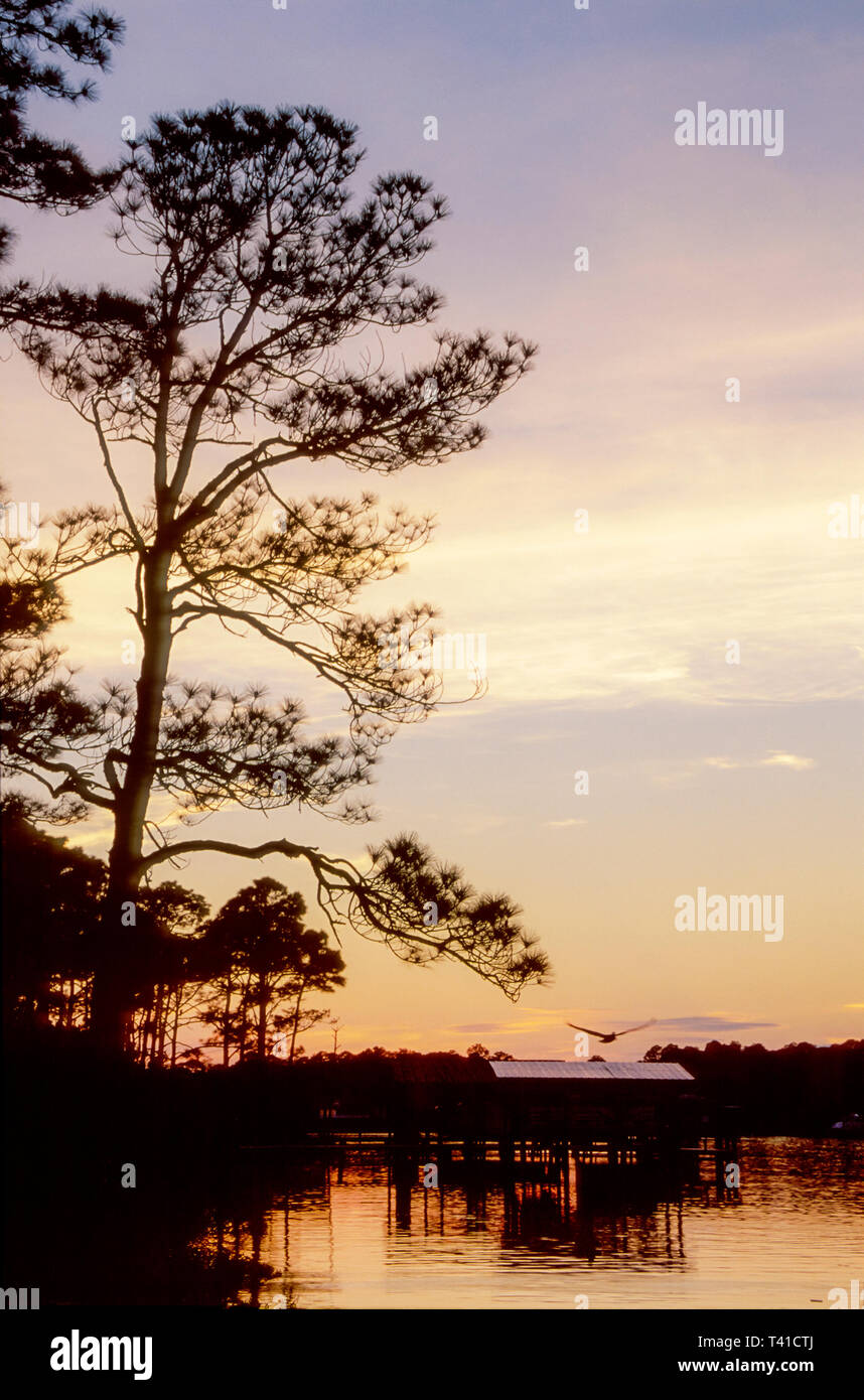 Alabama Gulf Coast Baldwin County Orange beach beaches,sand,surf,Cotton ...