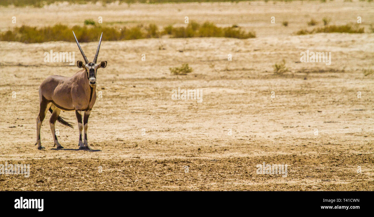Exotic location beautiful hi-res stock photography and images - Alamy
