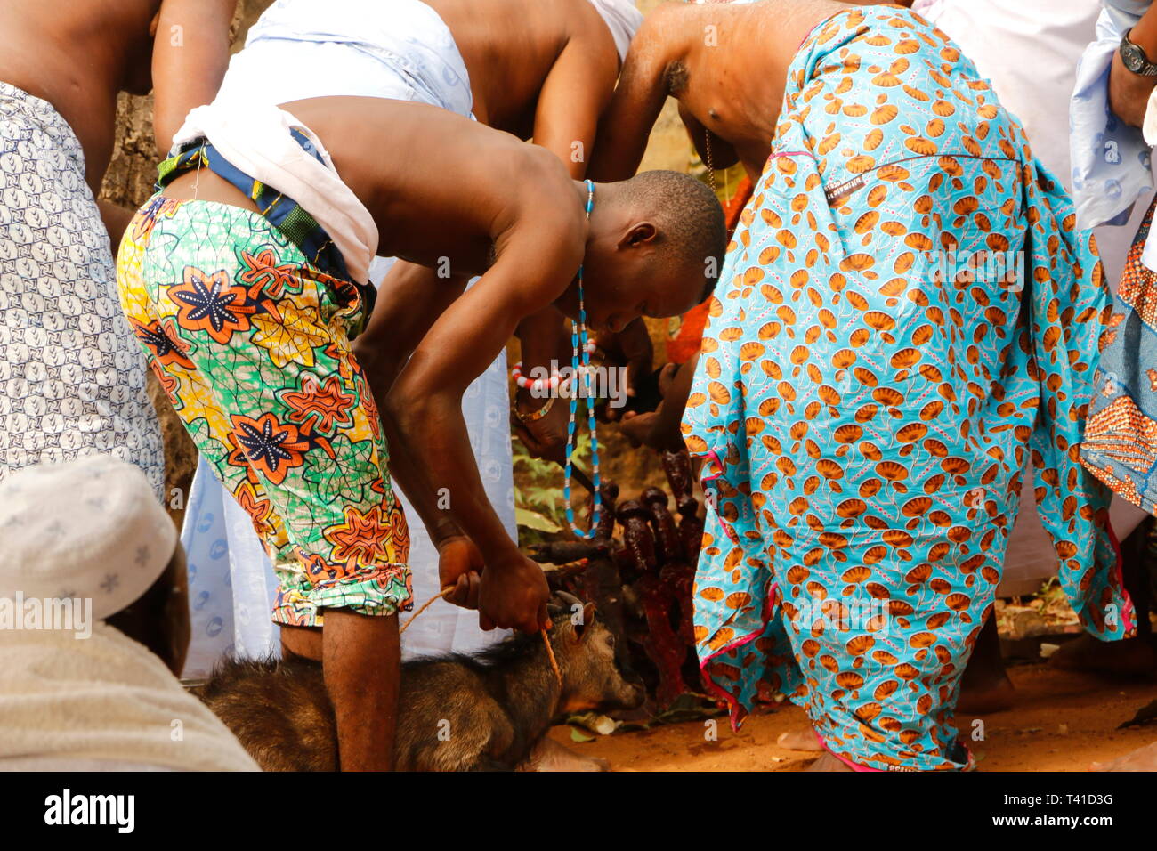 Ouidah, Benin, Voodoo festival in the center of Ouidah on 10 january ...