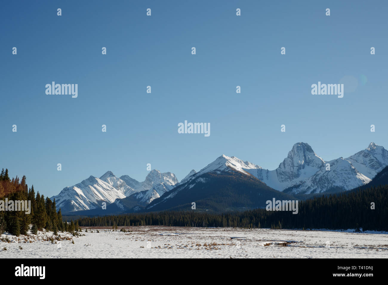 Mount Birdwood, Commonwealth Peak and Mount Burstall in Kananaskis ...