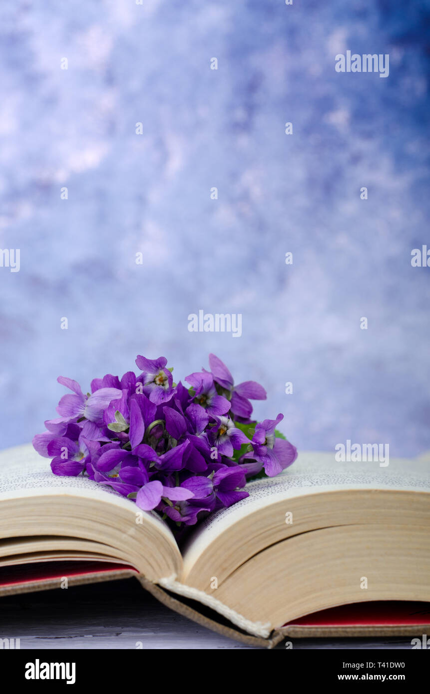 Vintage romantic background with old book, violet flowers and copy ...