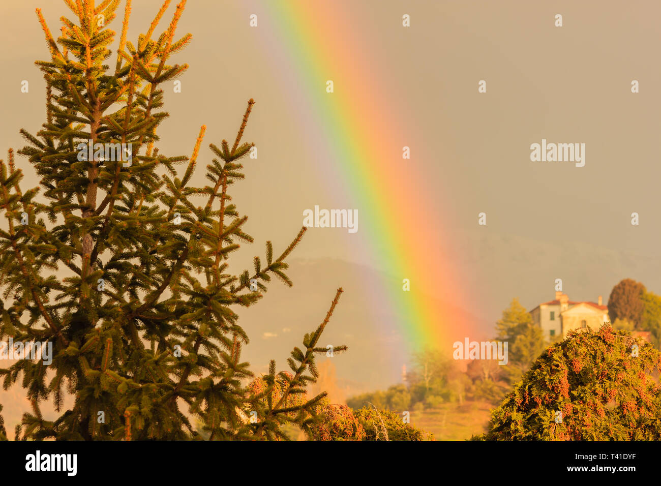 a colorful rainbow arch drawn in the sky /after the rain the colored ...