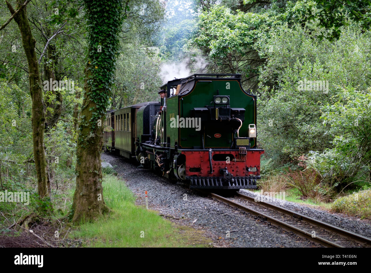 Wales, Gwynedd, Ffestiniog & Welsh Highland Railway. Restored narrow ...