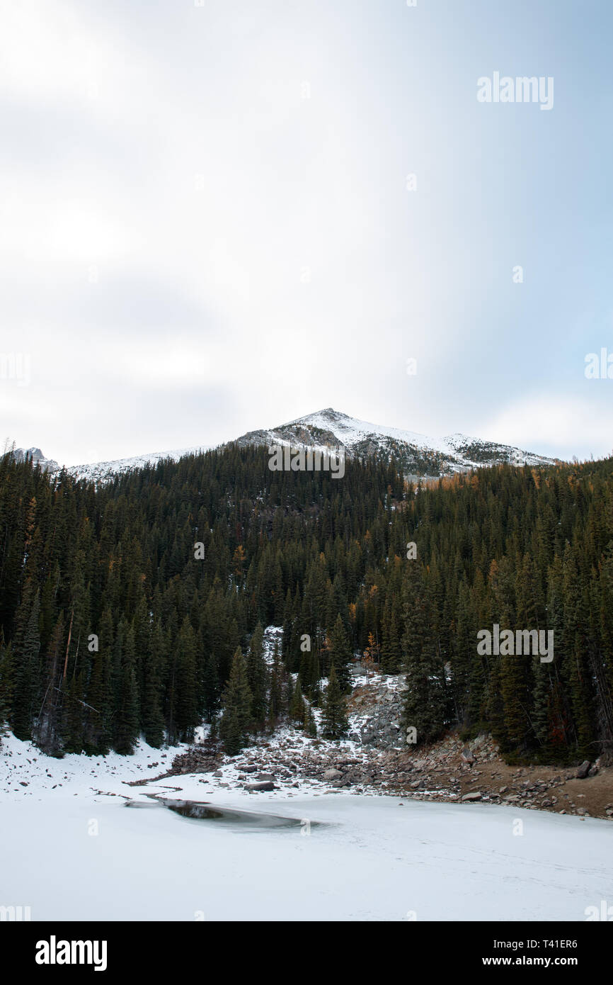 Mountains and pine trees around Lake Louise in Banff National Park ...