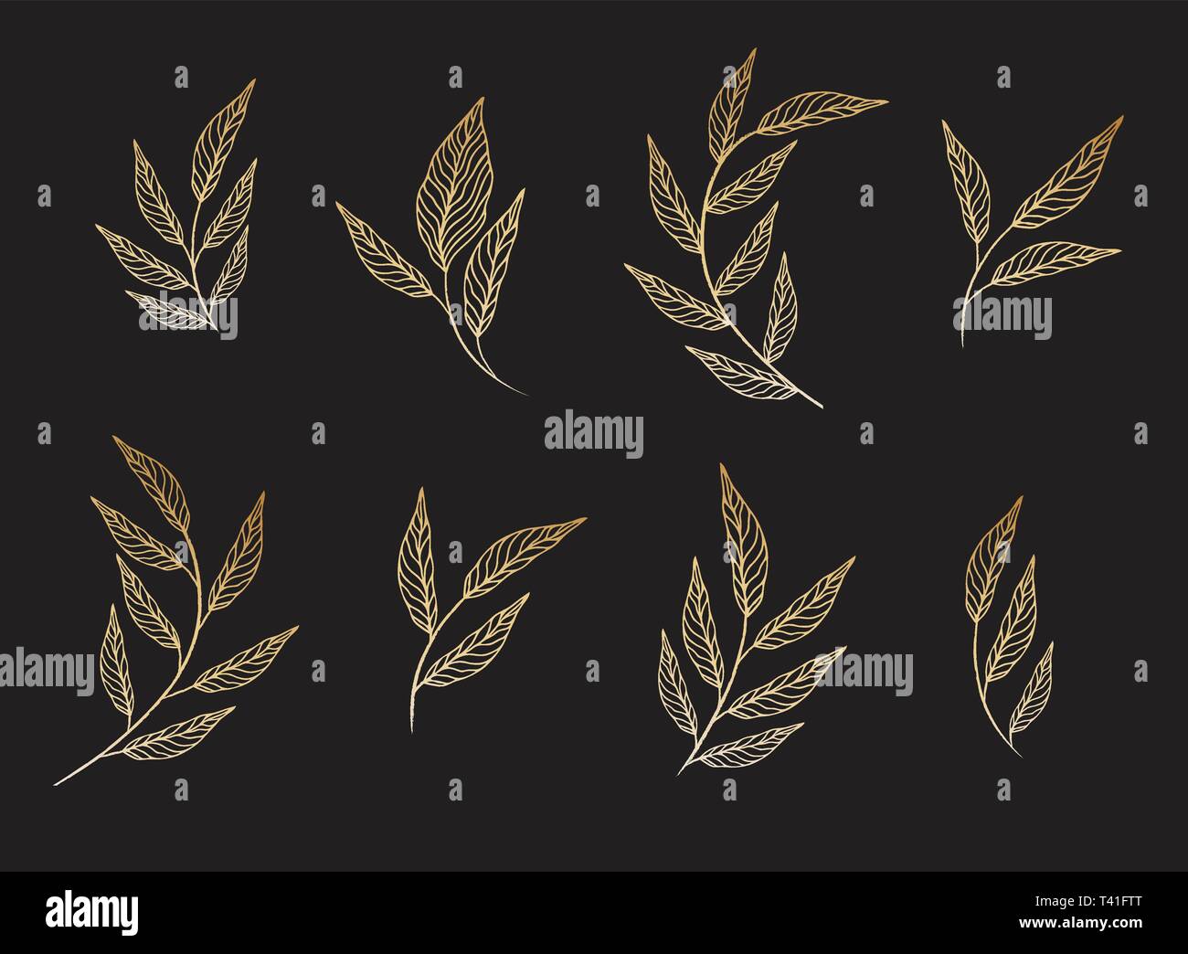 Set elements collection of leaves herbs Stock Vector Image & Art - Alamy