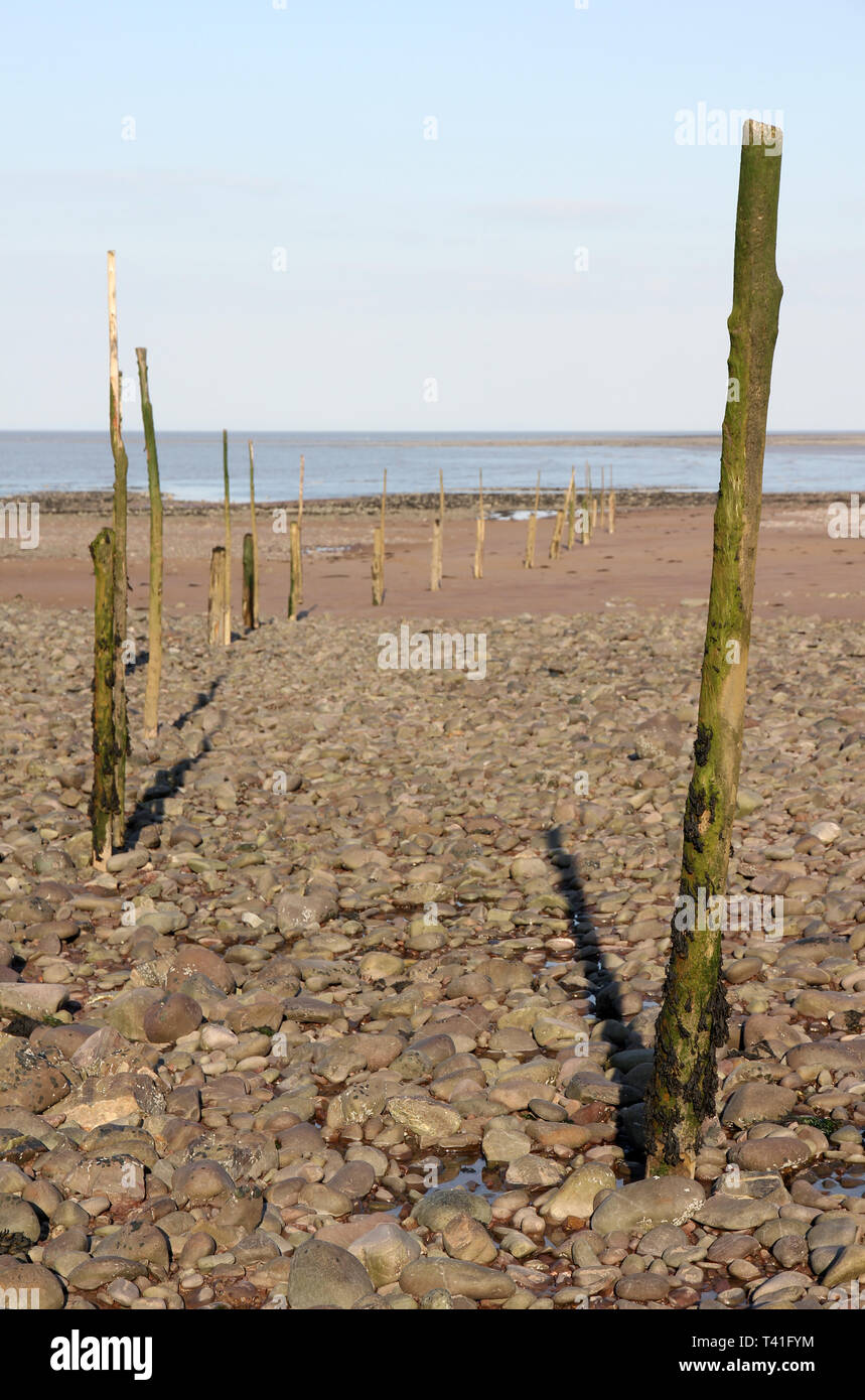 herring stake net posts Minehead Somerset Stock Photo - Alamy