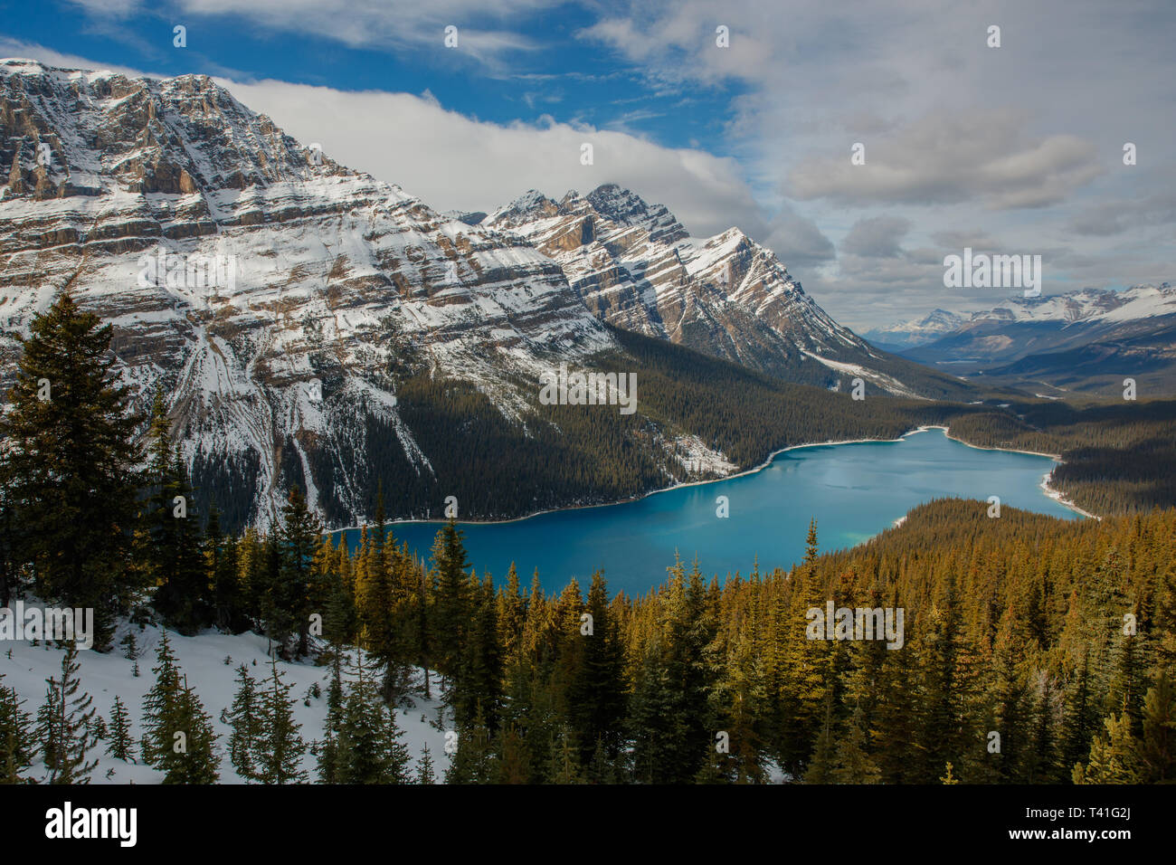 Lake Peyto in Banff National Park Stock Photo - Alamy