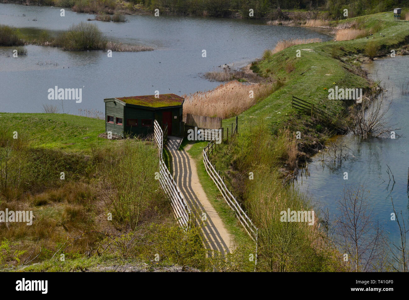College Lake Nature Reserve, Buckinghamshire, UK Stock Photo - Alamy
