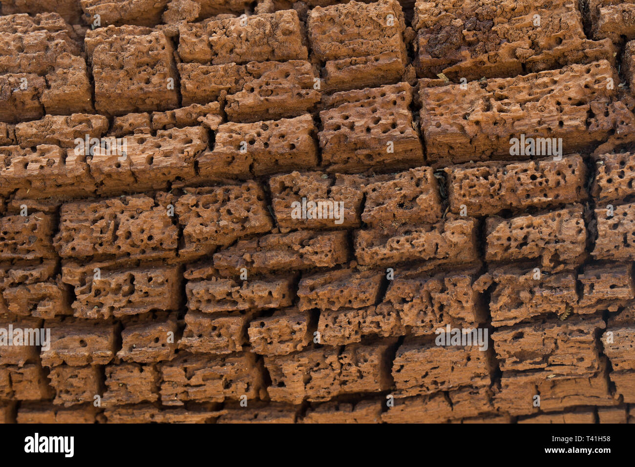 Rotting wood texture hi-res stock photography and images - Alamy