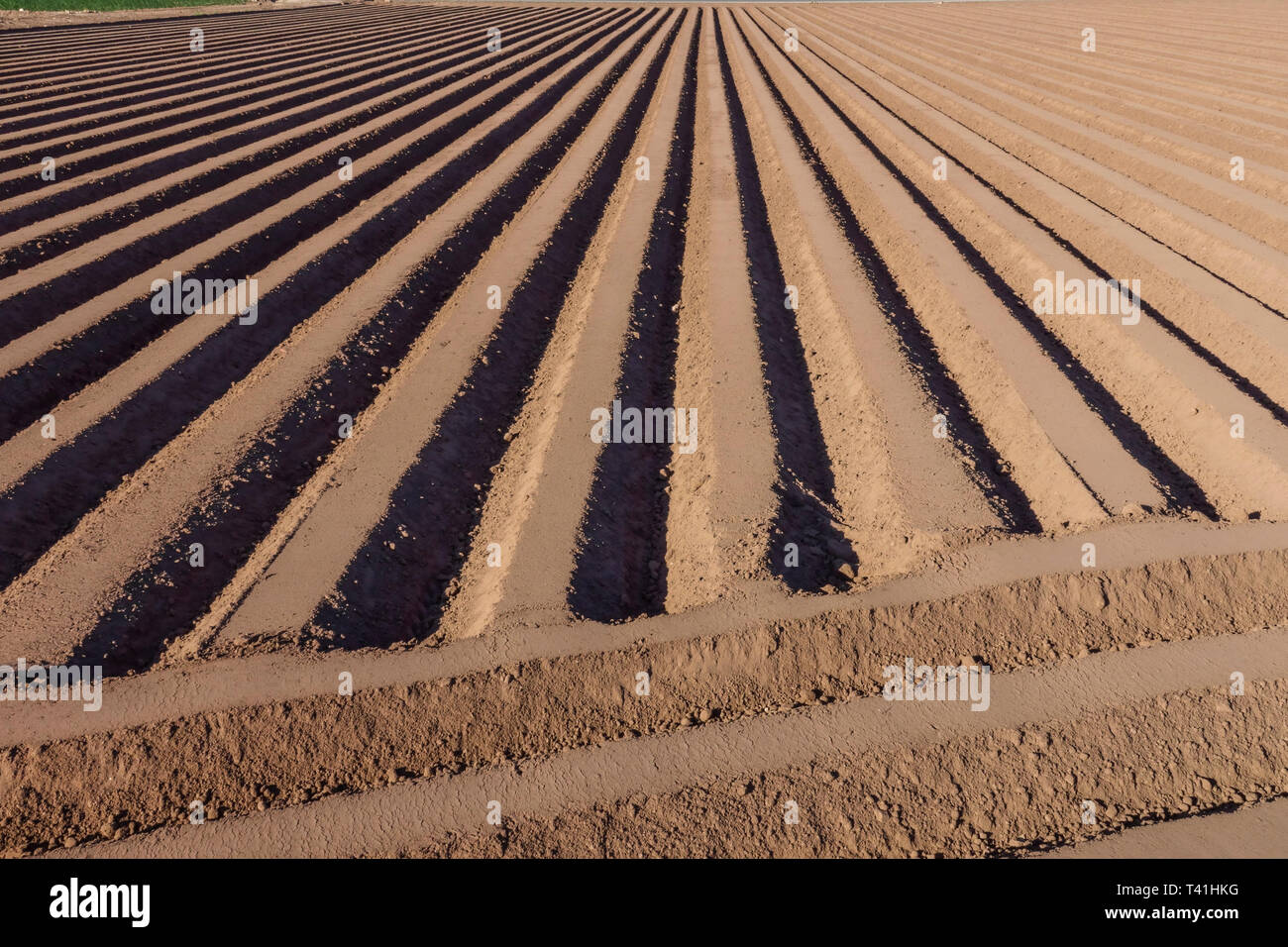 Rows and lines hi-res stock photography and images - Alamy