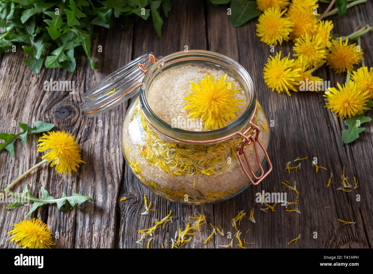 Preparation of homemade dandelion syrup from fresh flowers and cane ...