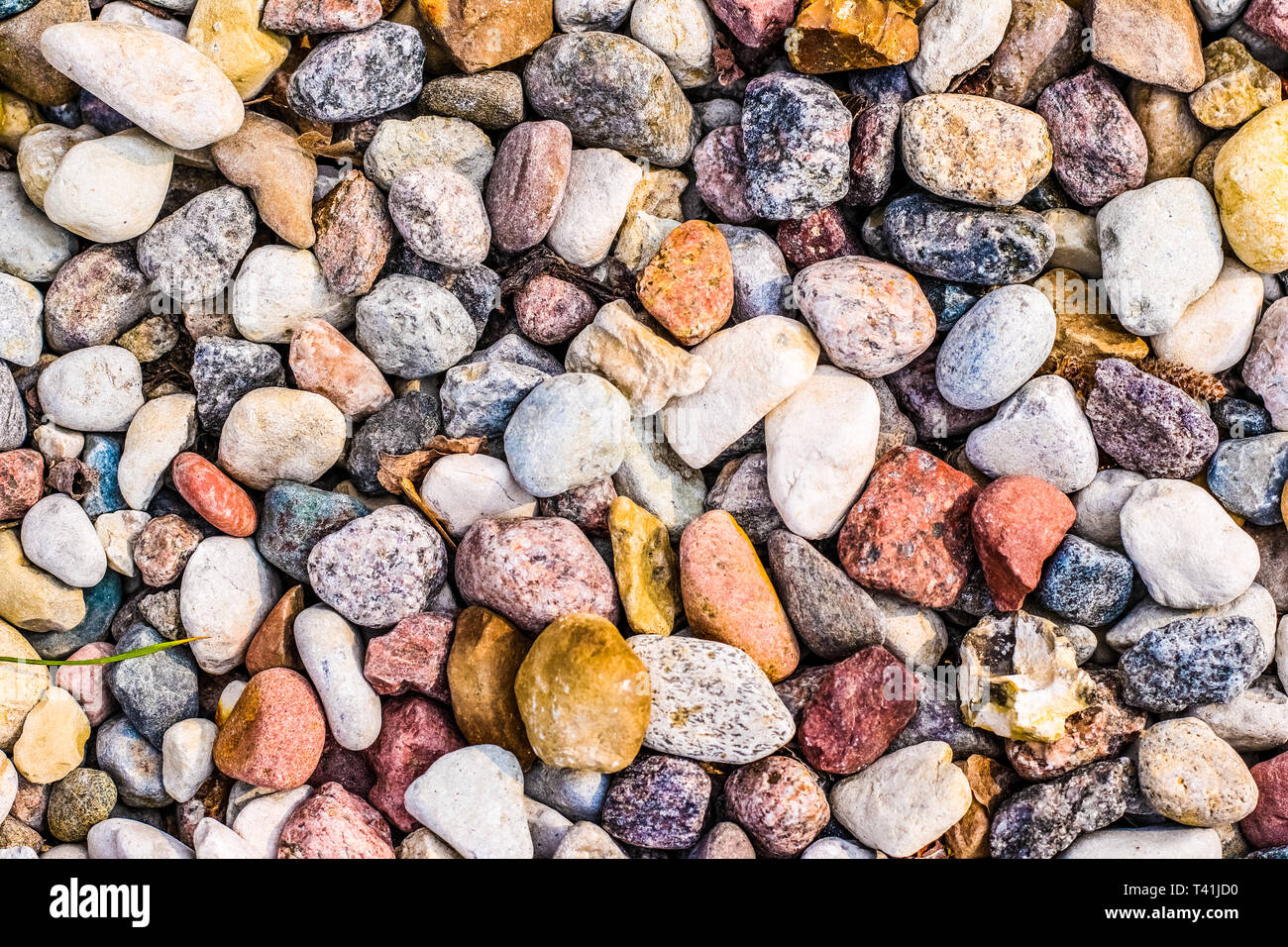 Landscape architecture, interior design and nature elements concept ...