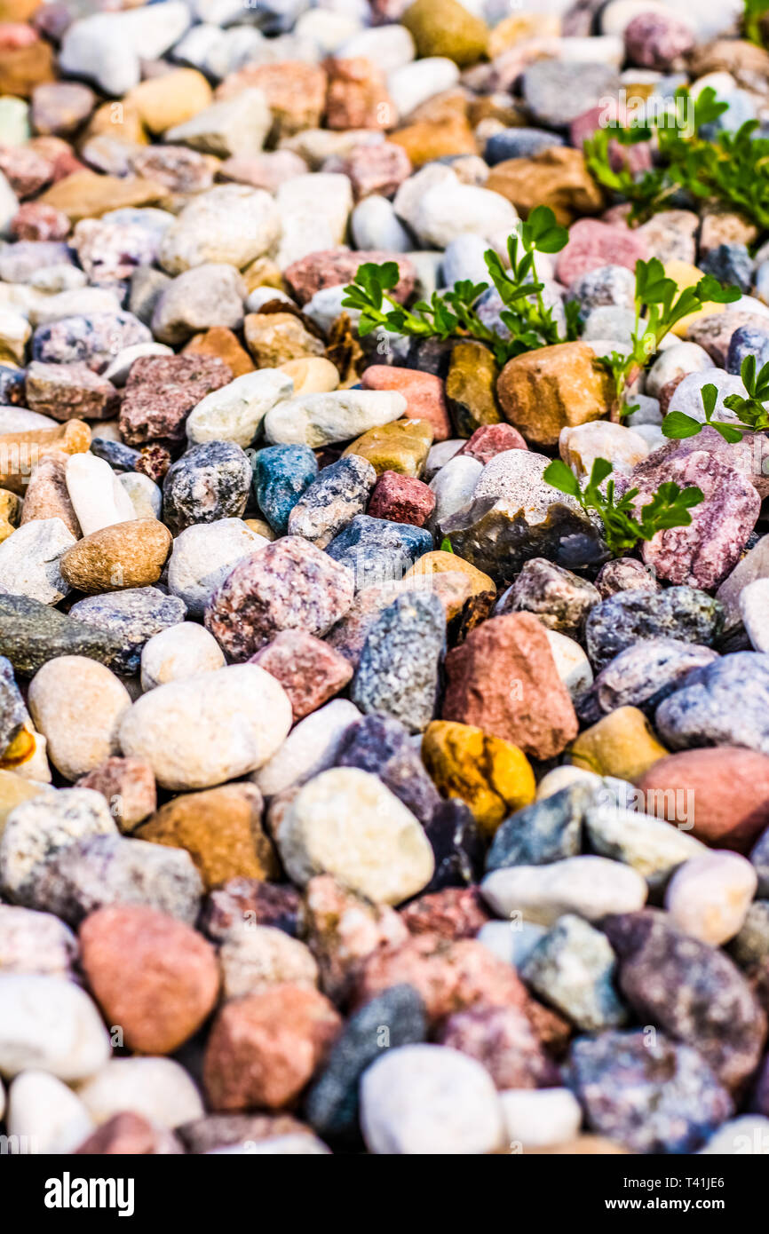 Landscape architecture, interior design and nature elements concept ...