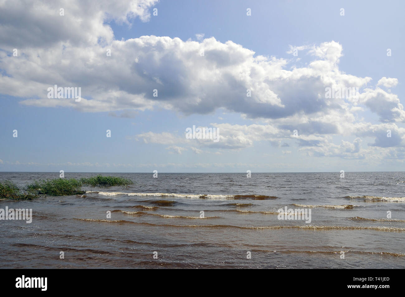 Peipsi jarv hi-res stock photography and images - Alamy