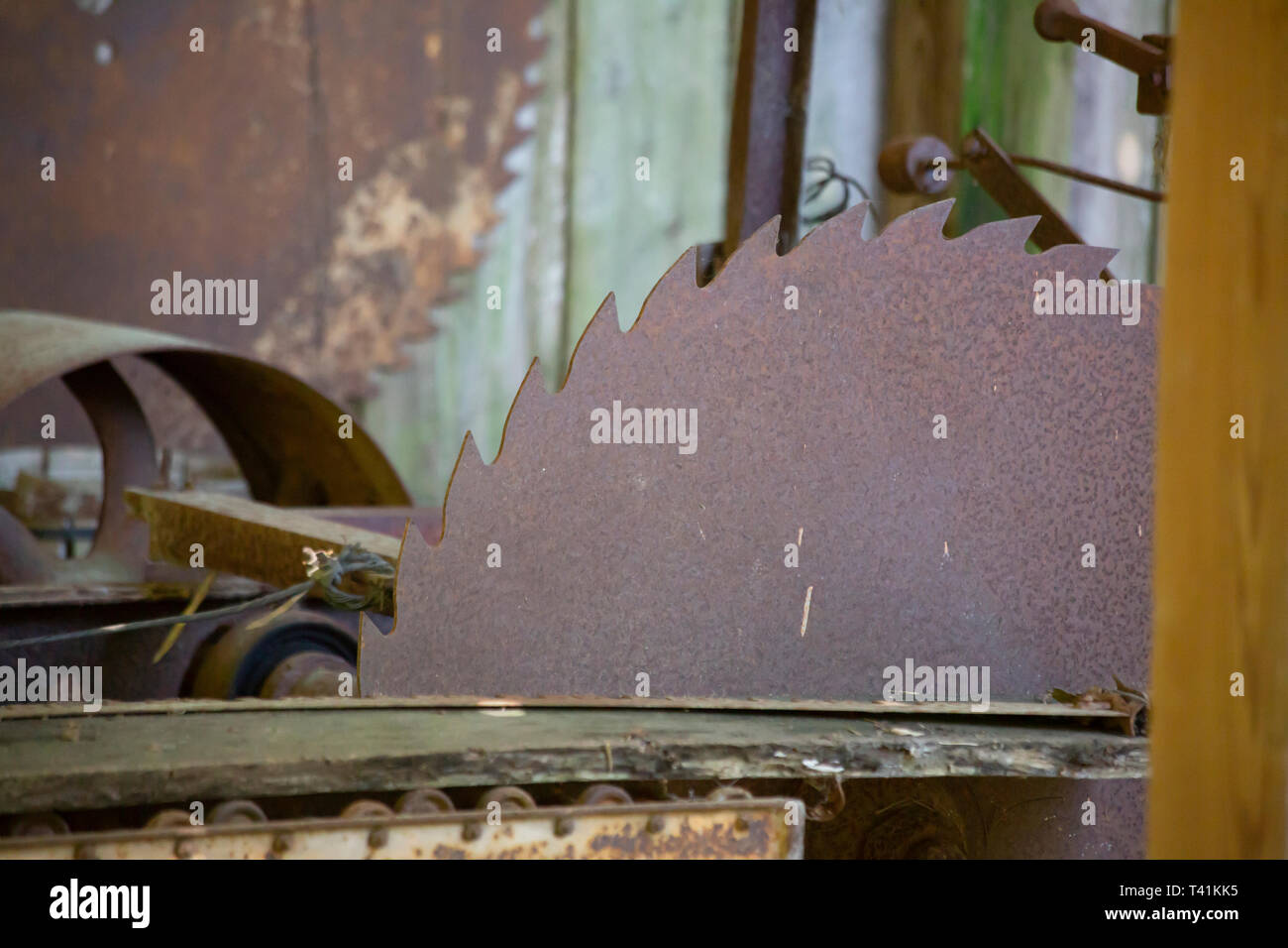 Buzz saw hi-res stock photography and images - Alamy