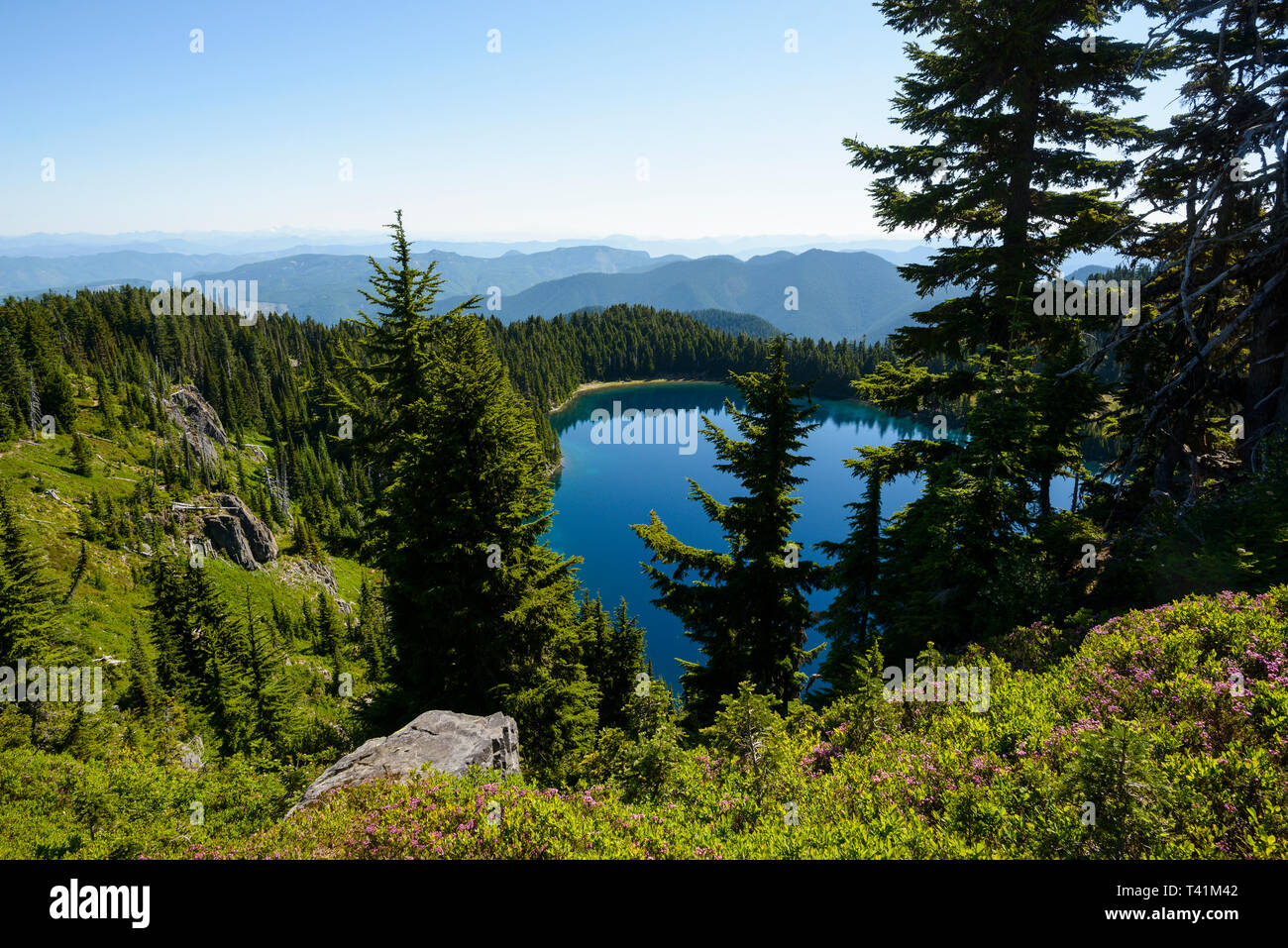Wonder backpack blue hi-res stock photography and images - Alamy