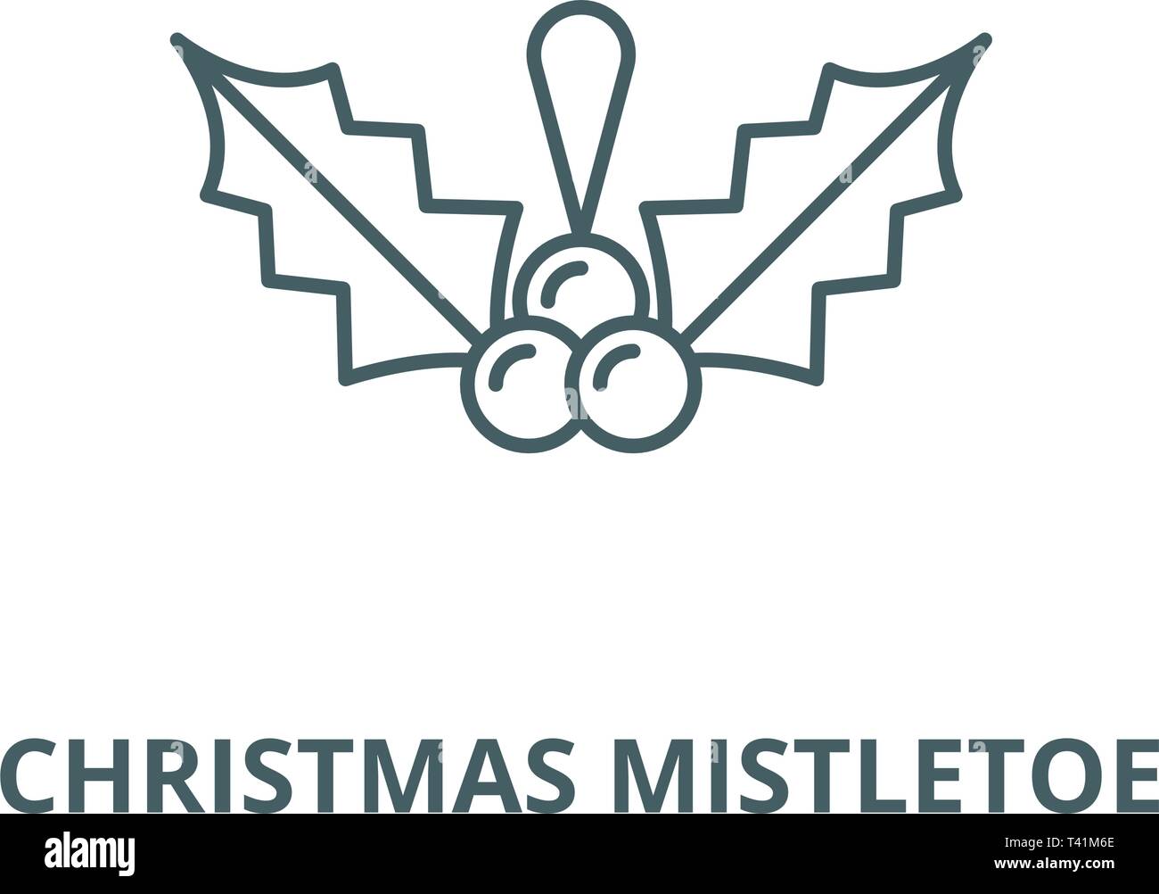 Christmas mistletoe line icon, vector. Christmas mistletoe outline sign ...