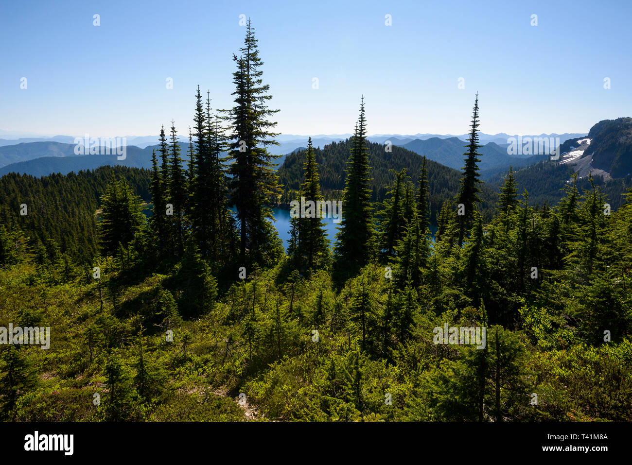 Alpine cascade hi-res stock photography and images - Alamy