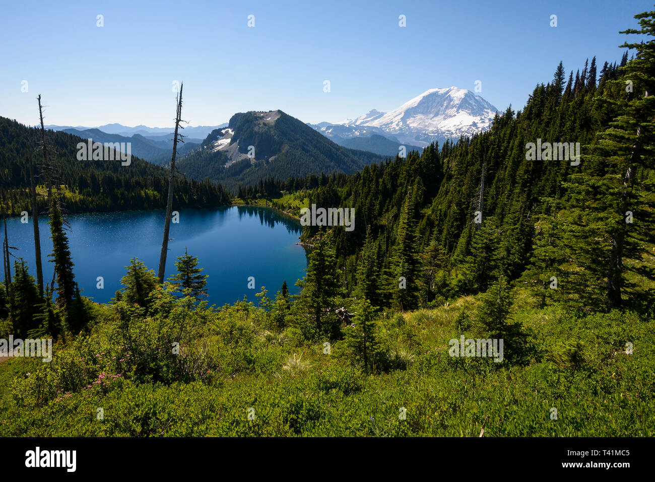 Alpine Lake and Mt Rainier in The Cascade Mountains Stock Photo - Alamy